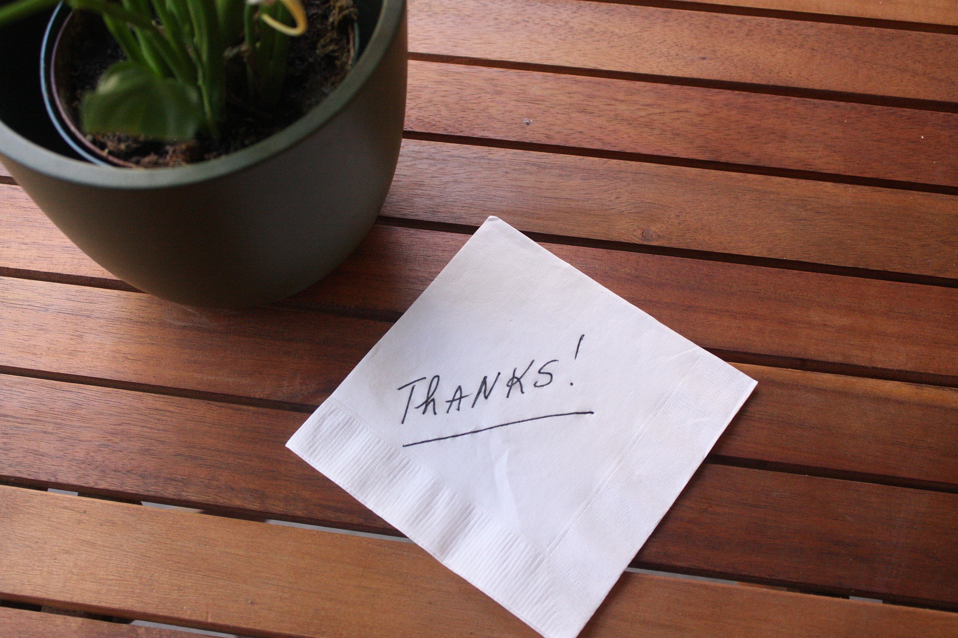 Gratefulness and Point of Focus - Wise & Shine