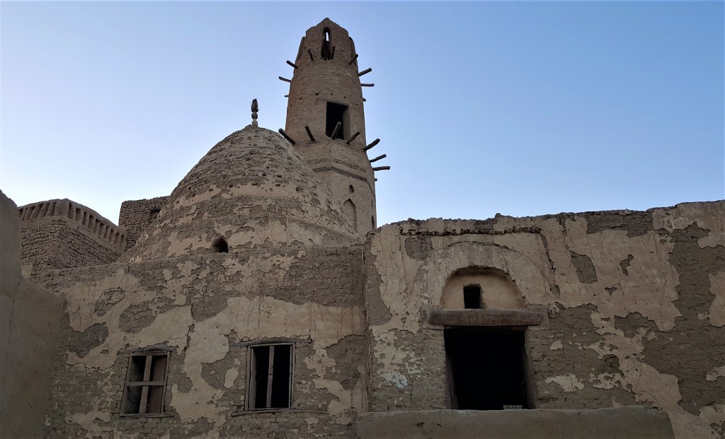 I’m Back - Wise & Shine