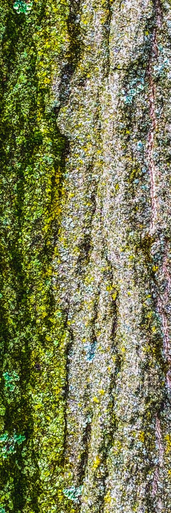 The Pitfall of Reliance on Providentialism - Wise & Shine